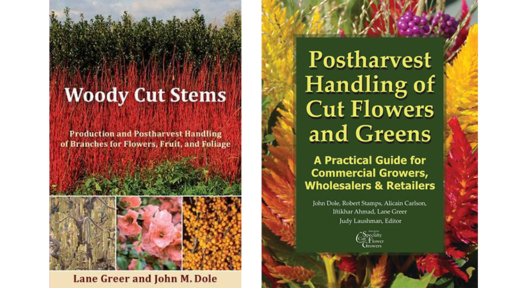 New cut flower handling guide available - Nursery Management