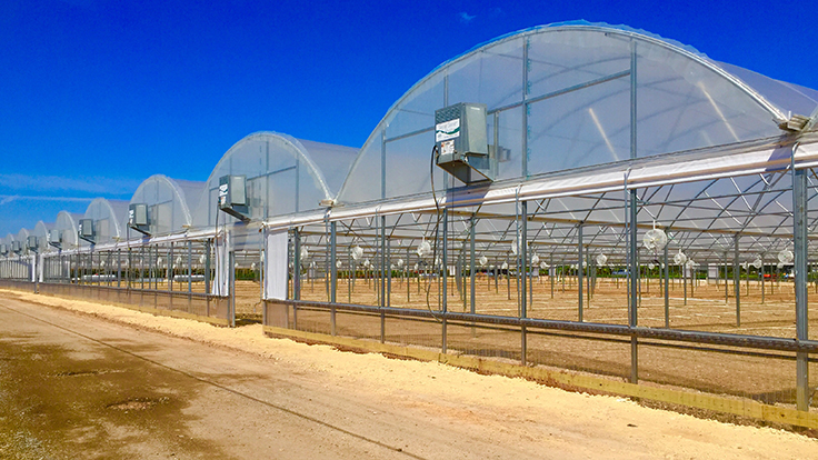 Choose the right structure - Nursery Management