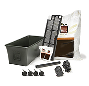 Organic ready-to-grow vegetable kit - Nursery Management