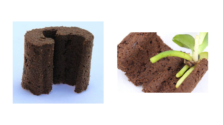 Introducing the ZenPlug - Nursery Management