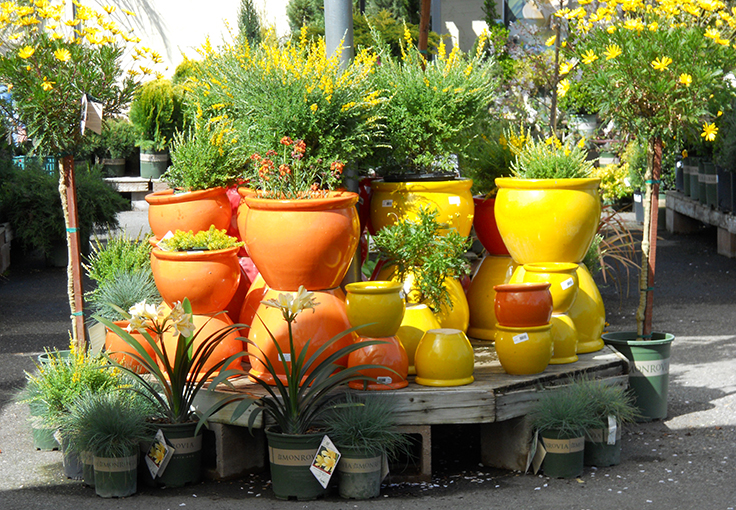 Promoting safety - Nursery Management