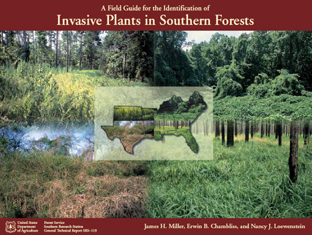 Free guide identifies invasive plants - Nursery Management