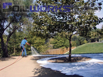 Soil stabilizer and dust control agent - Nursery Management