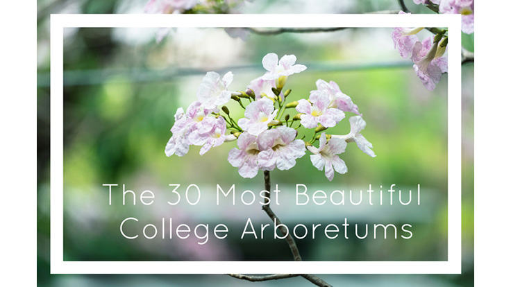 College Rank names the 30 Most Beautiful College Arboretums - Nursery ...