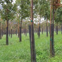 Rigid plastic mesh tree guards - Nursery Management