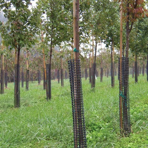 Leonard Rigid Plastic Mesh Tree Guards - Nursery Management