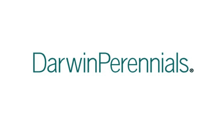 Darwin Perennials Day goes digital - Nursery Management