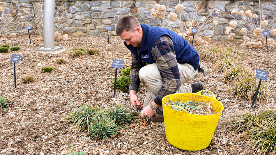 Q&A with Sam Hoadley - Nursery Management