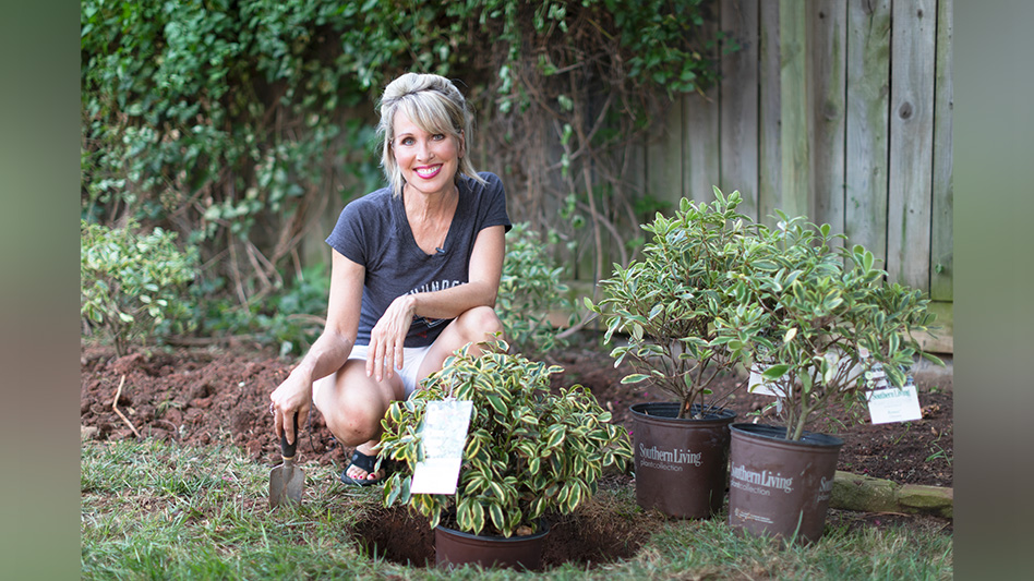 Plant Development Services, Inc. partners with garden influencer Linda Vater - Nursery Management