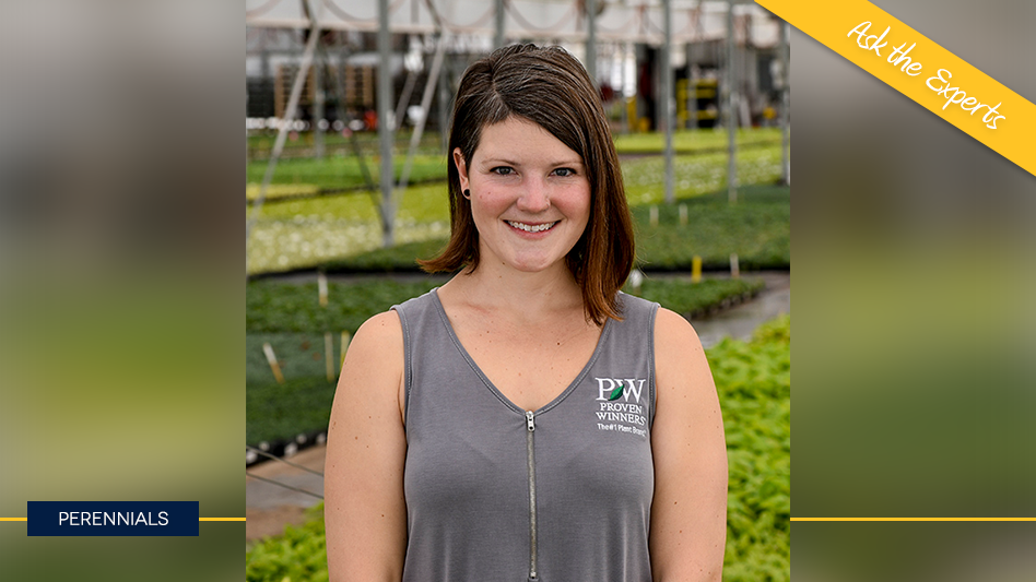 Questions with Caitlin Splawski - Nursery Management
